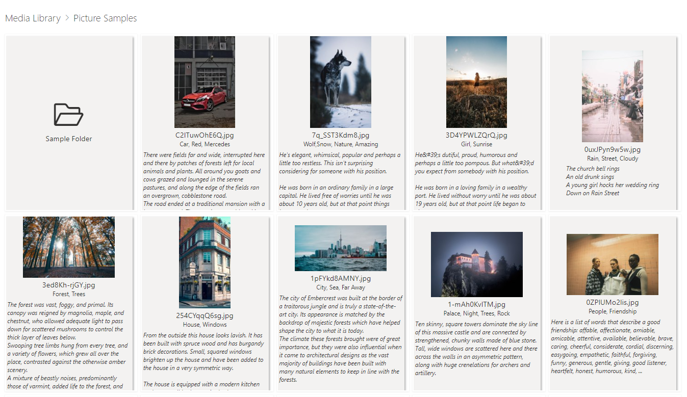 Tiles view formatting: Thumbnail along with description and keywords - DevScope Ninjas